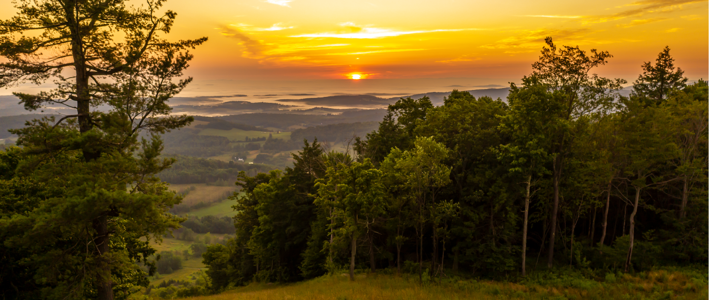 Read about Williams’ 2019 Sustainability efforts in new report ...