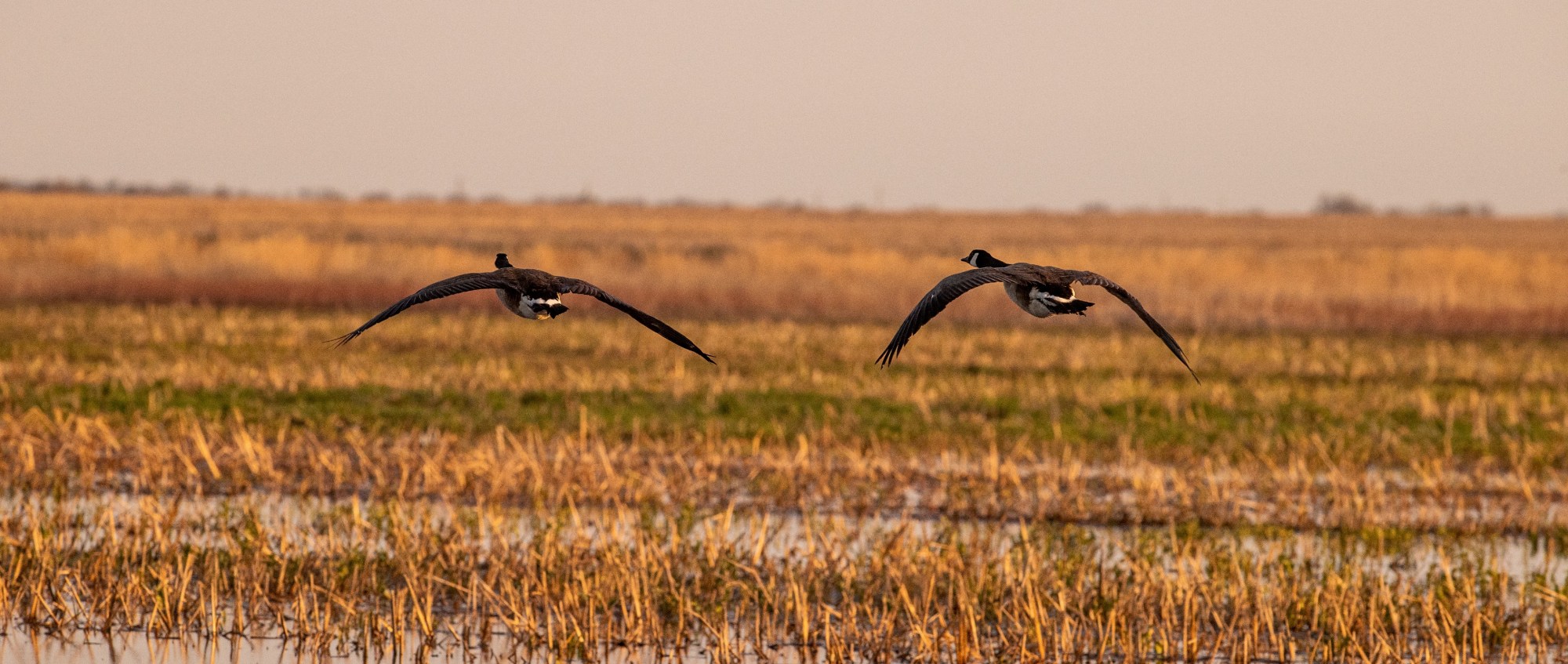 Williams Companies | We Make Clean Energy Happen®